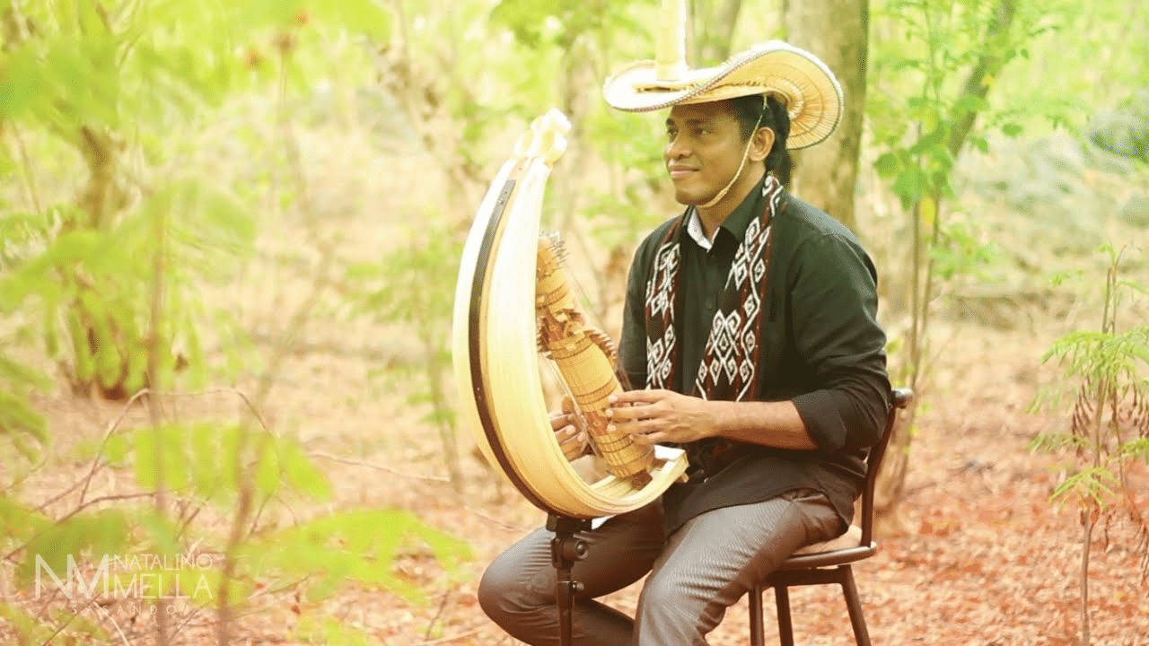 Le sasando, un instrument méconnu et pourtant... | Suis-Nous