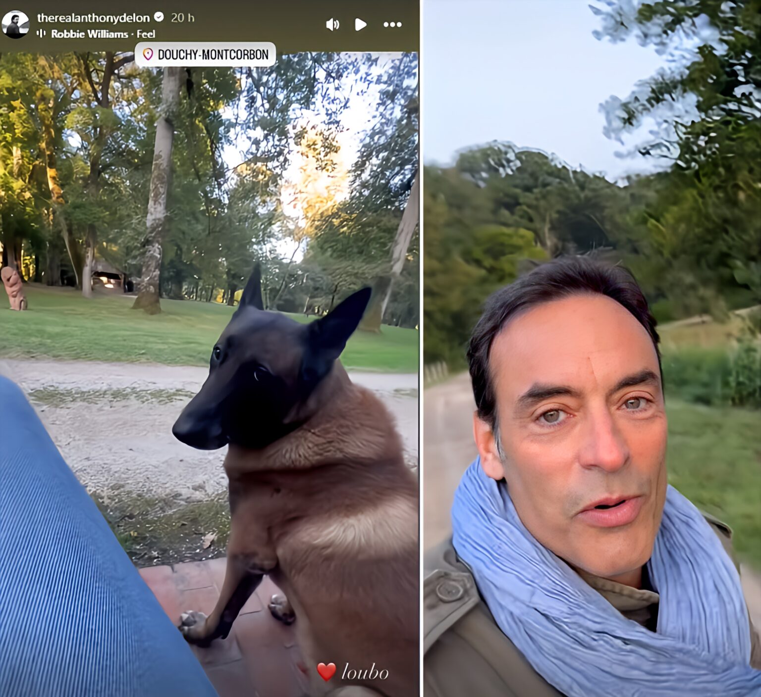 Anthony Delon poste une vidéo du chien de son père, Loubo, accompagné ...
